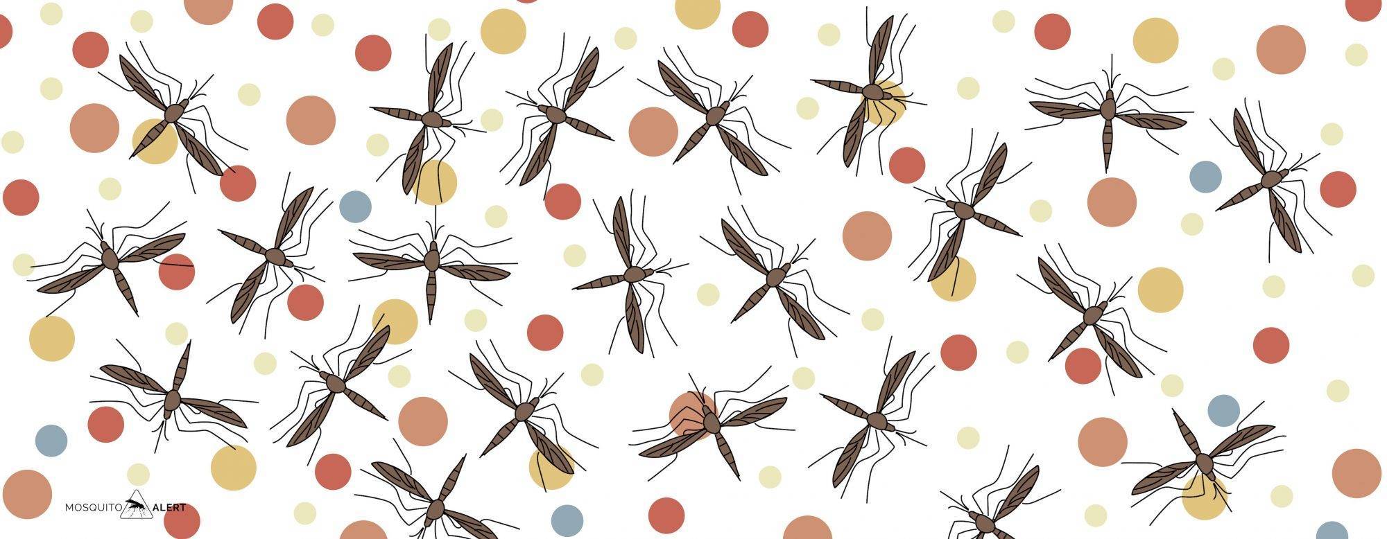 Cuáles son los insectos y animales que chupan sangre