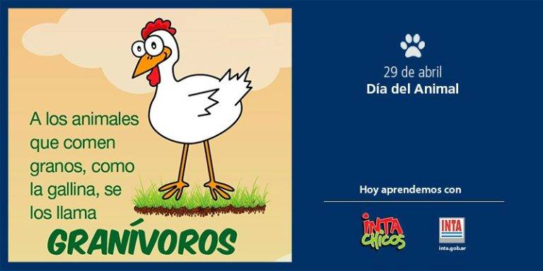 Tipos de animales granívoros y ejemplos de su alimentación