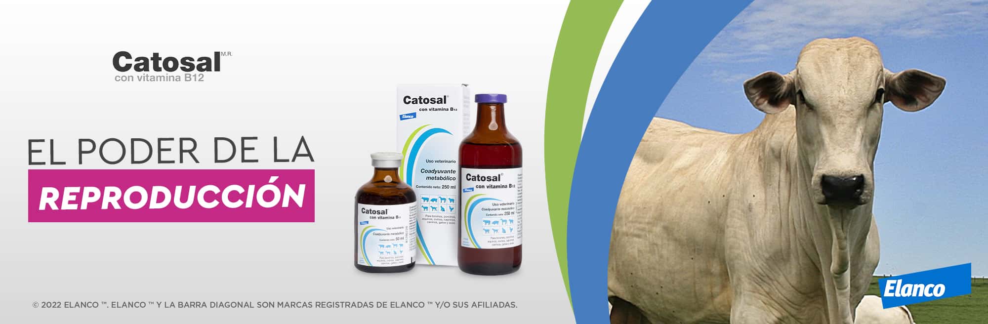 Qué es Catosal para perros y cómo se administra