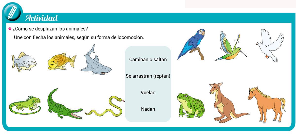 De qué forma se desplazan los animales de un lugar a otro