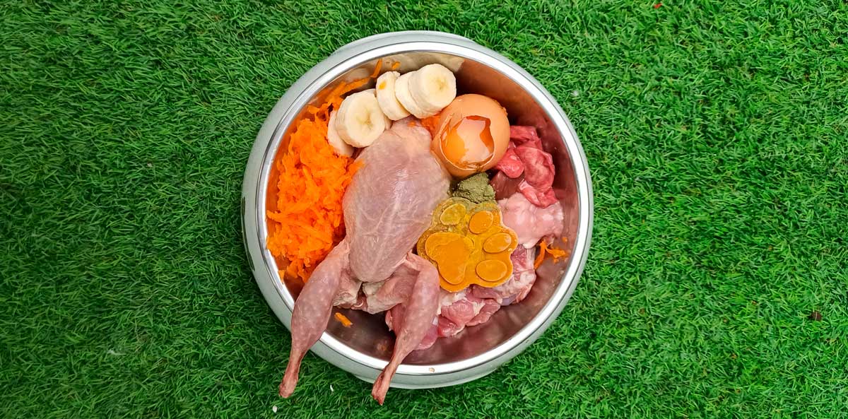 Buscas recetas caseras BARF para gatos