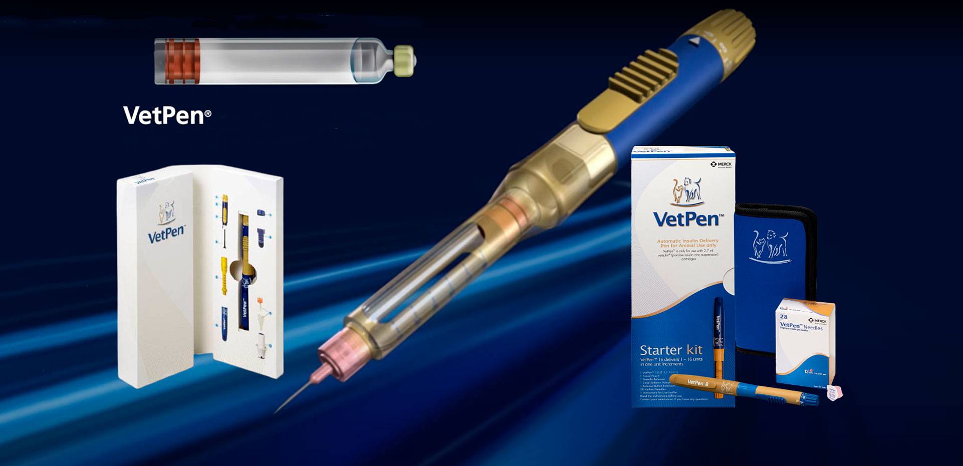 Cómo administrar insulina a perros y cuál es su precio