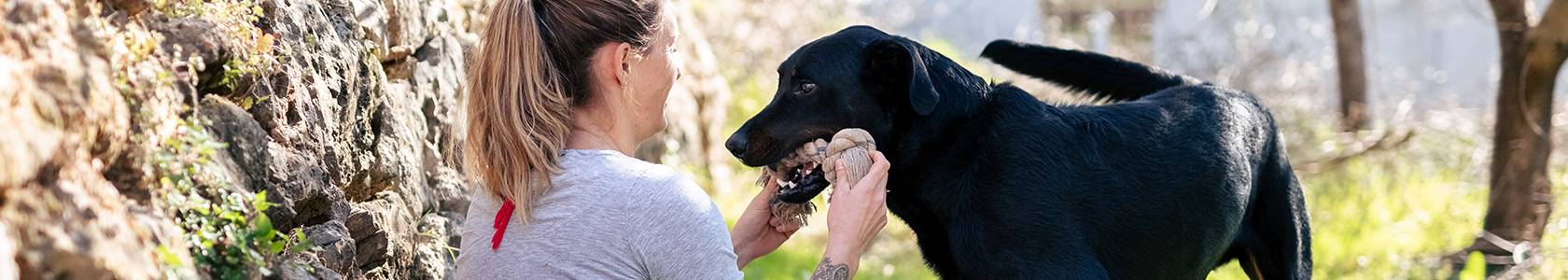 Cómo tratar la prostatitis en perros de forma natural