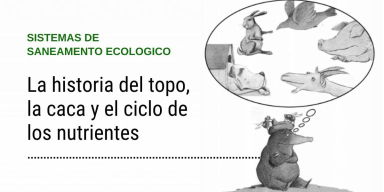 Descubre los tipos de topos y sus características únicas